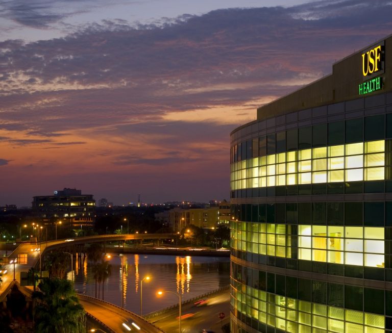 USF Named Institution of the Year